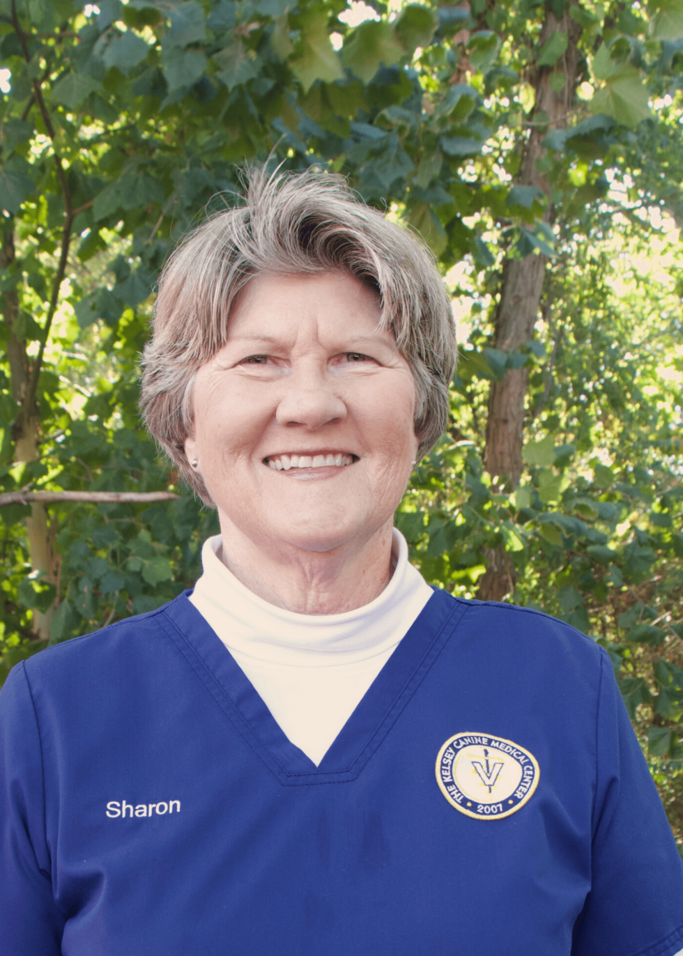 Veterinarian In Collierville, TN 38017 | Kelsey Canine Medical Center